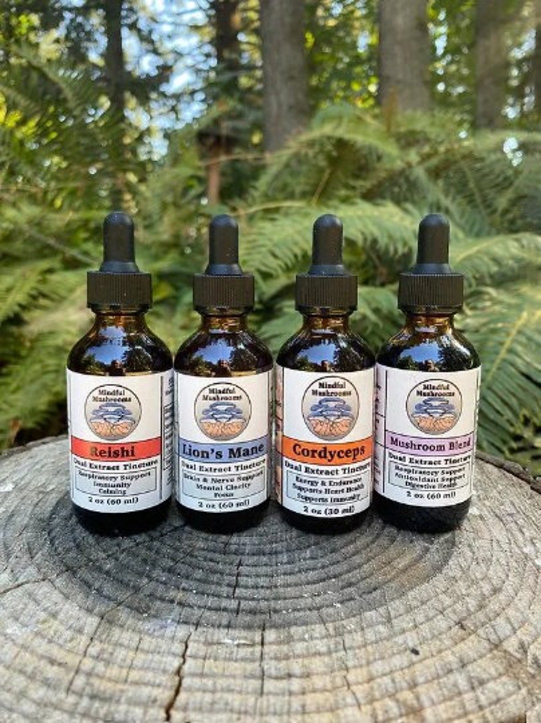 BULK DEAL! Mushroom Dual Extract Tincture Bundle Includes Reishi, Lion ...