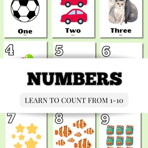 Learning Book coloring Animals, Alphabets, Counting Numbers - Etsy