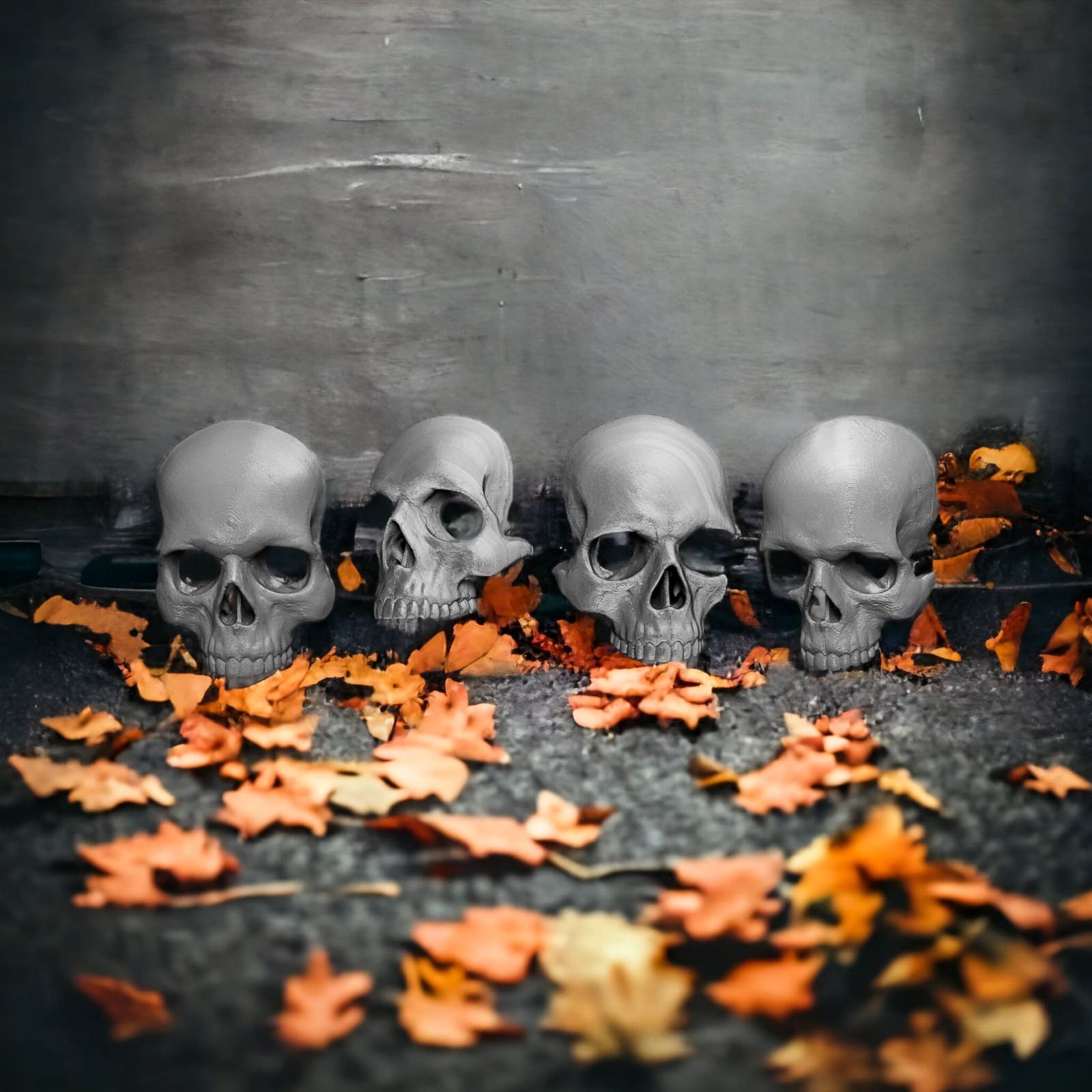 Skull Photography Art