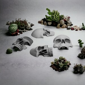 Skull Wall Decor, Skull Wall Art, Halloween Decor, Gothic Home Decor ...