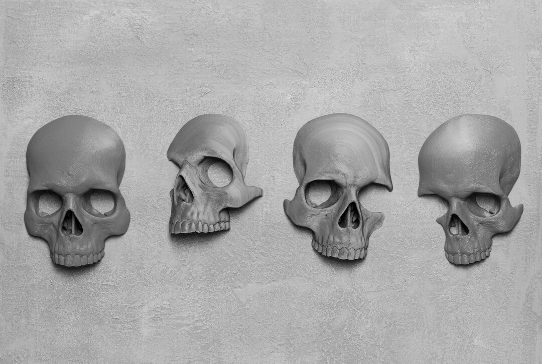 Skull Wall Decor, Skull Wall Art, Halloween Decor, Gothic Home Decor ...