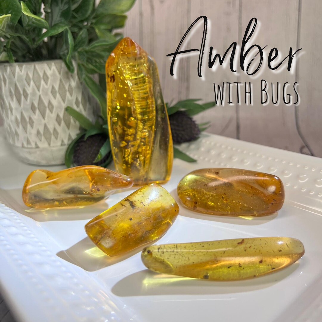 Small Amber Freeform With BUGS, Polished Amber Freeform Carving With ...
