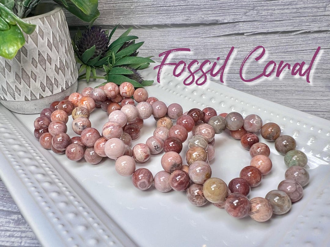 Pink and Purple Fossil Coral Bracelet, Fossilized Coral, Coral Fossil ...