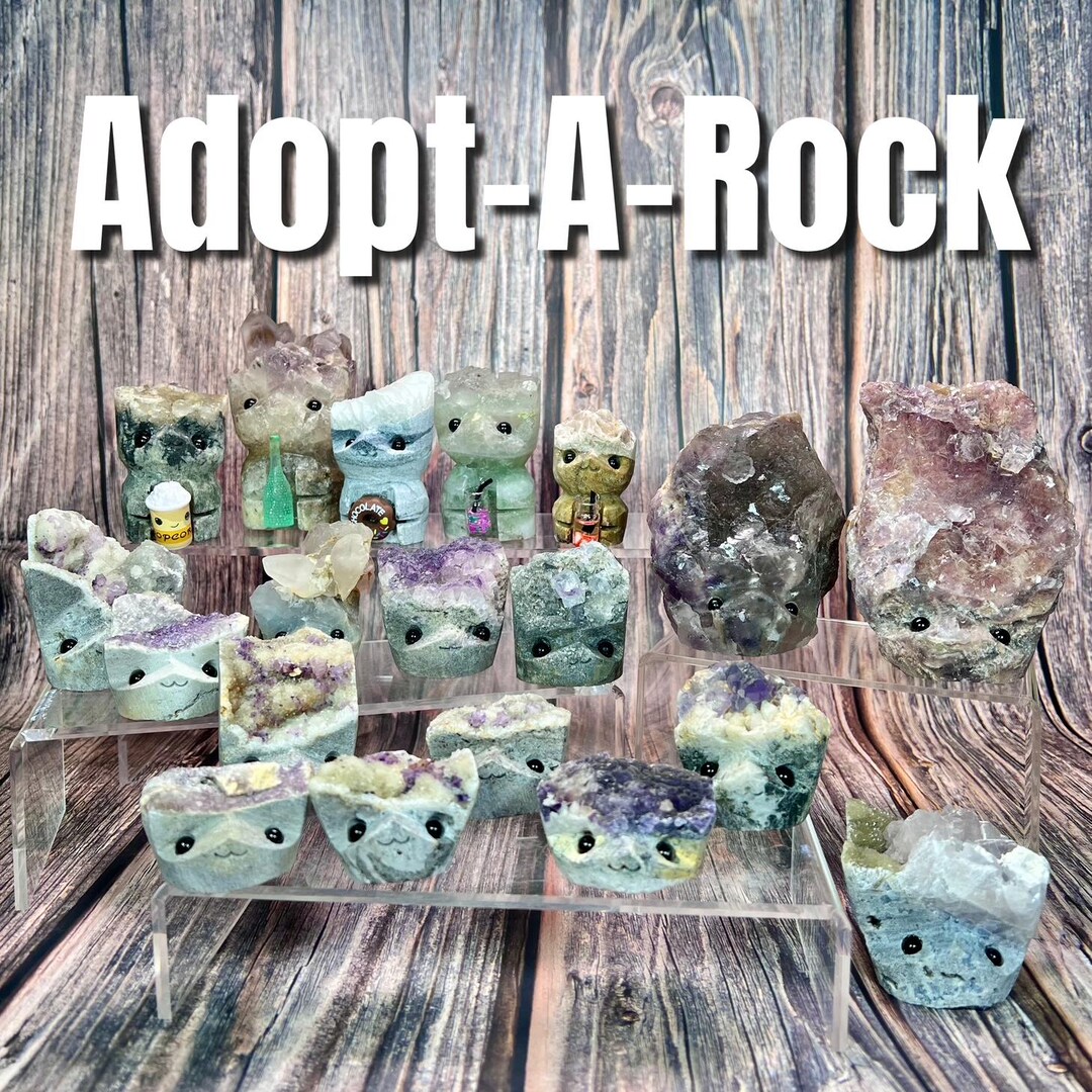 Adopt-a-rock! Adorable Crystal Pet, Crystal Companion, Crystal Buddy ...