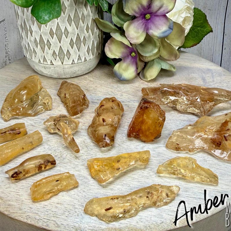 Amber With Bug In - Etsy