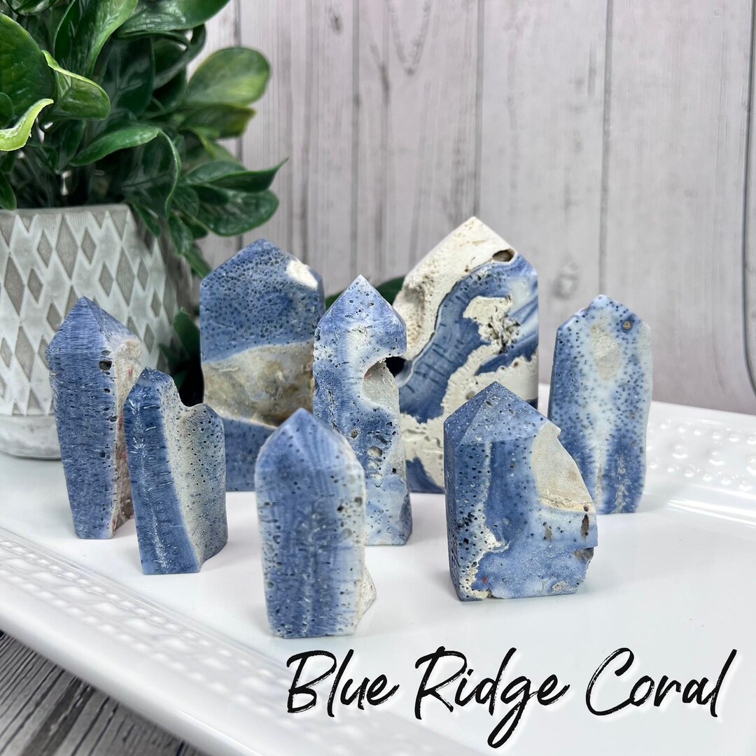 Blue Ridge Coral Tower, Blue Coral Tower, Heliopora Coerulea, Natural ...