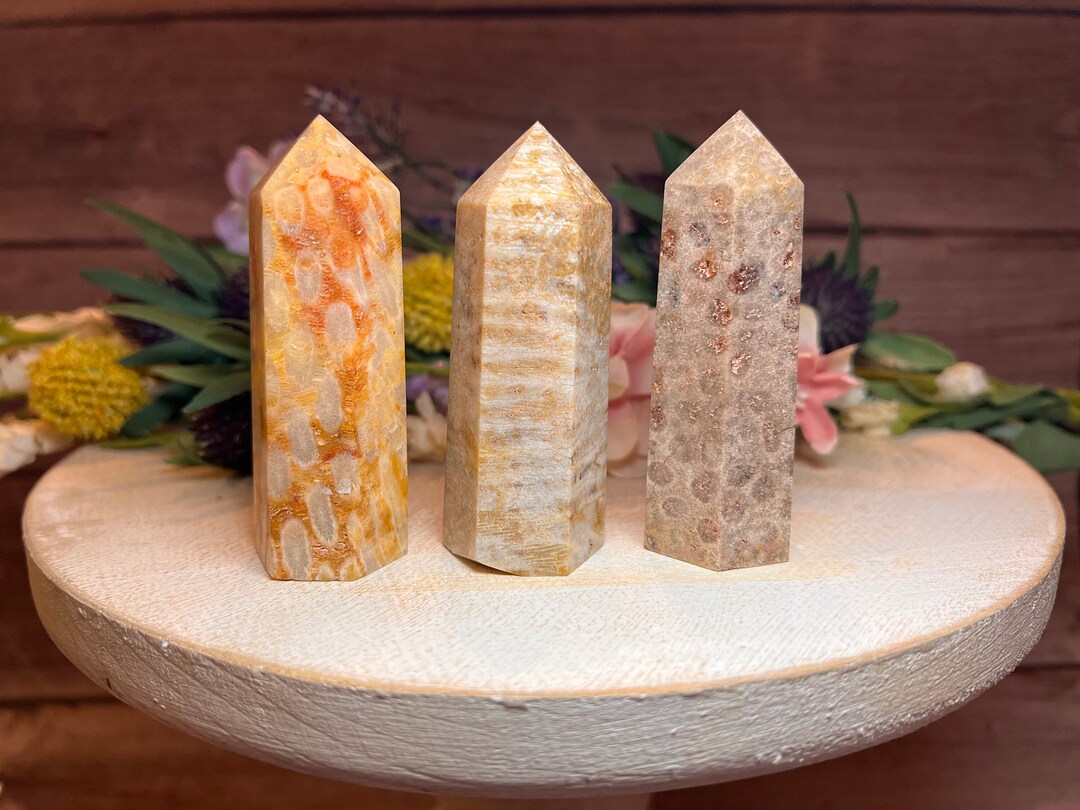 Fossil Coral Tower, Coral Fossil Tower, Agatized Coral, Agatized Coral ...