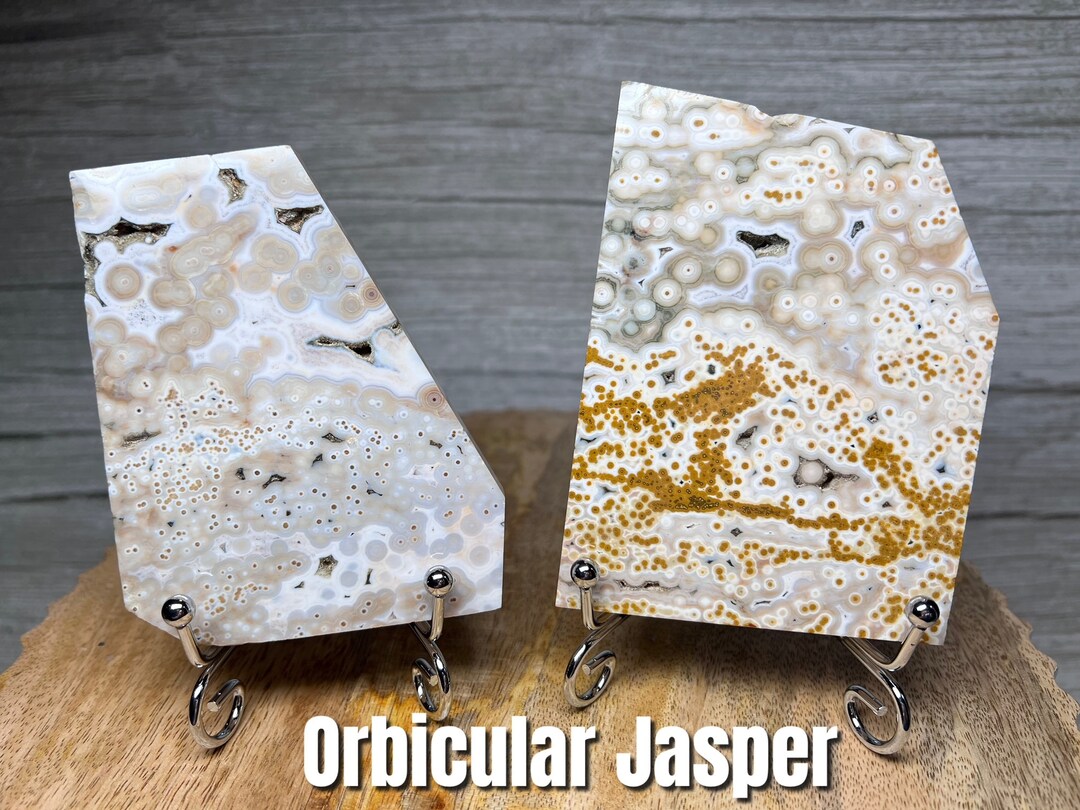 Orbicular Ocean Jasper Slab, Orbicular Jasper Freeform, Ocean Jasper ...