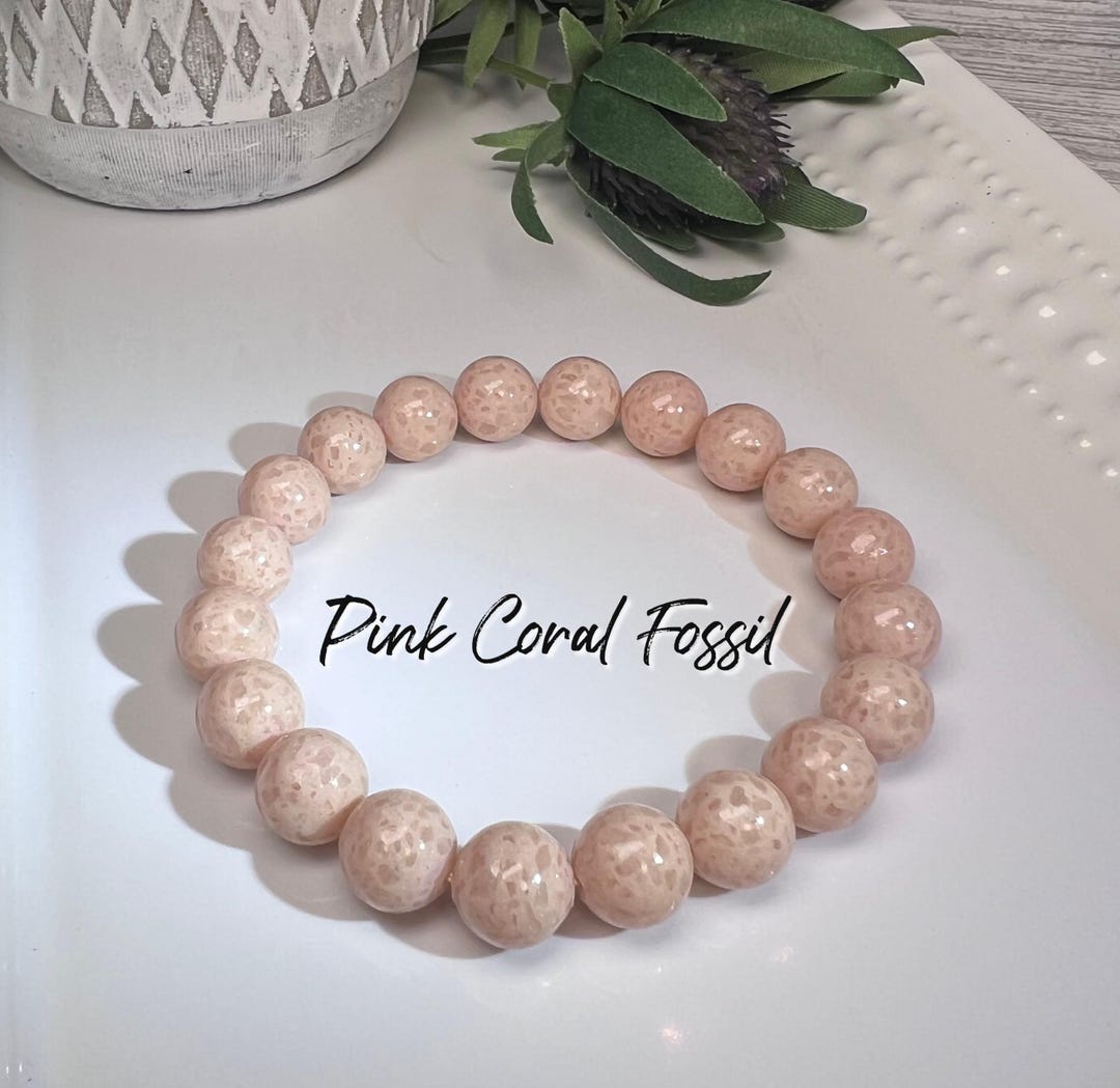 Pink Fossil Coral Bracelet, Fossilized Coral, Coral Fossil, Agatized ...