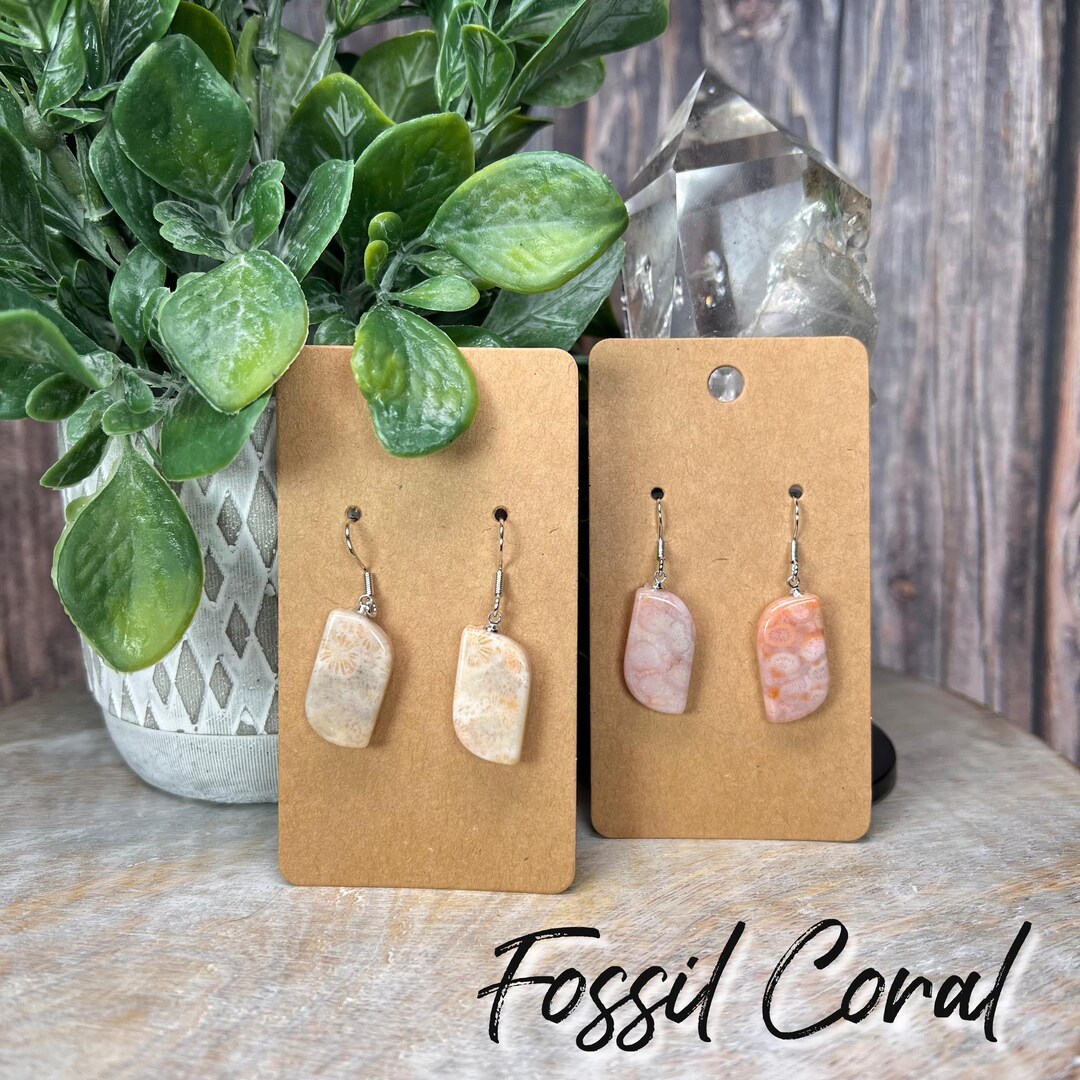 Fossil Coral Earrings, Coral Fossil Earrings, Agatized Coral Earrings ...