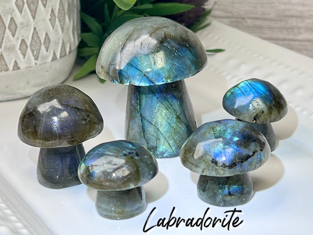 Labradorite Mushroom Carvings set of 5, Labradorite Carving, Small ...