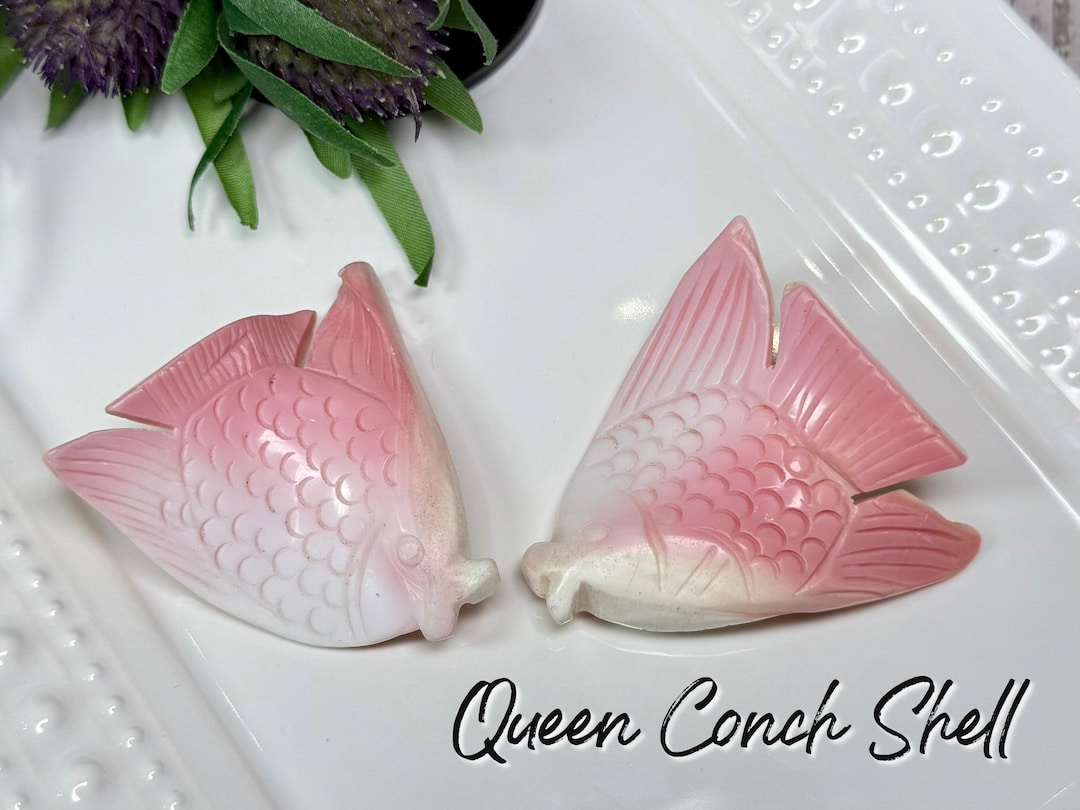 Pink Queen Conch Shell Fish Carving, Pink Queen Conch Shell Carving - Etsy