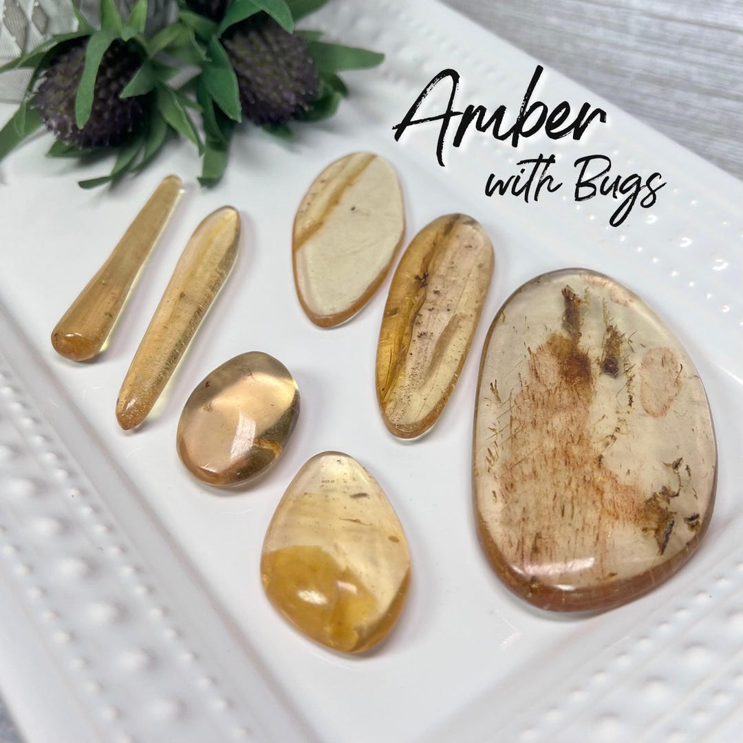 Small Amber Freeform With BUGS, Polished Amber Freeform Carving With ...