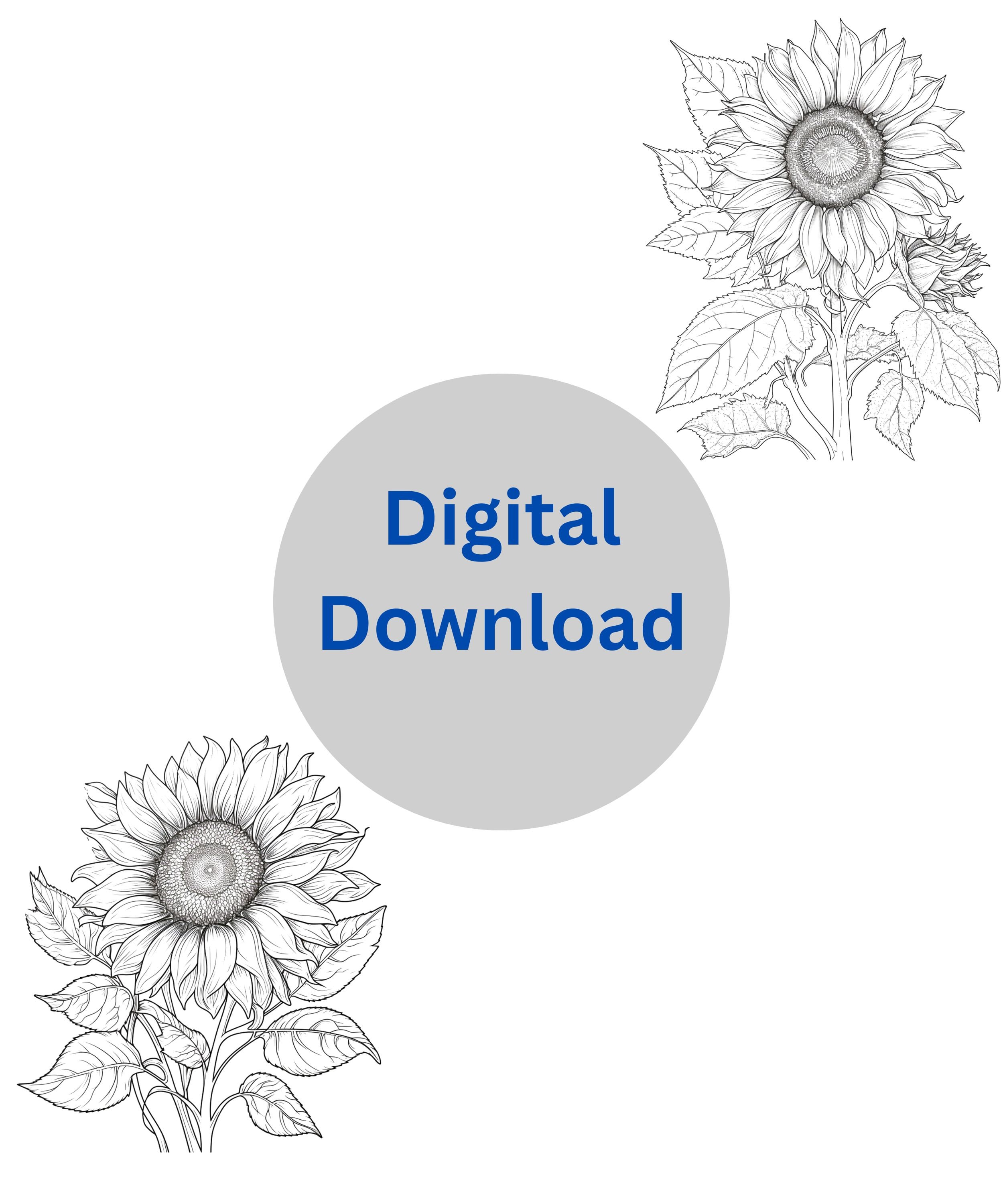 Sunflower Coloring Pages - Etsy