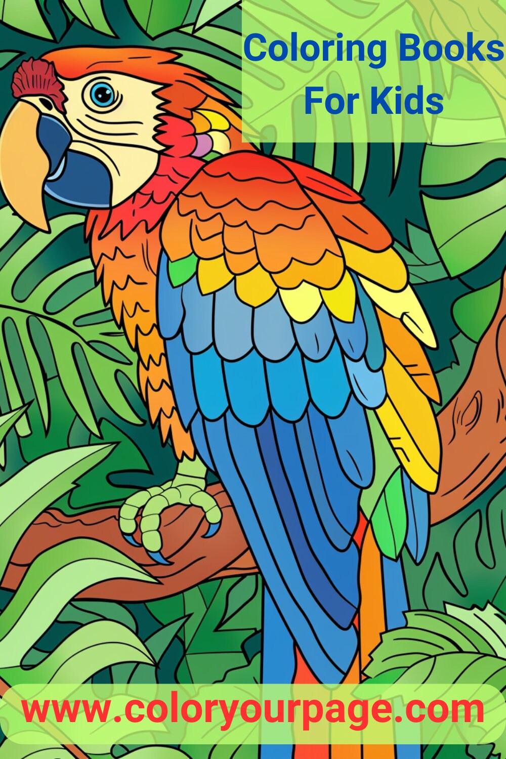 Parrot Coloring Book for Kids, Part 1 - Etsy