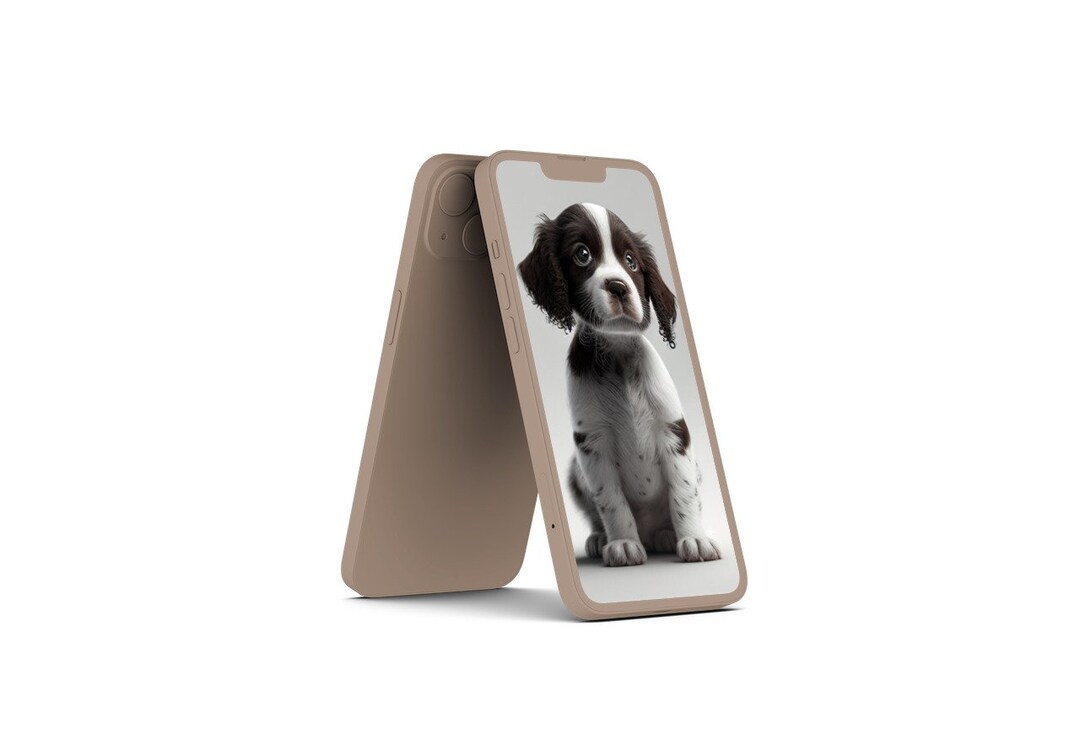 Springer Spaniel Puppy Wallpaper - Etsy
