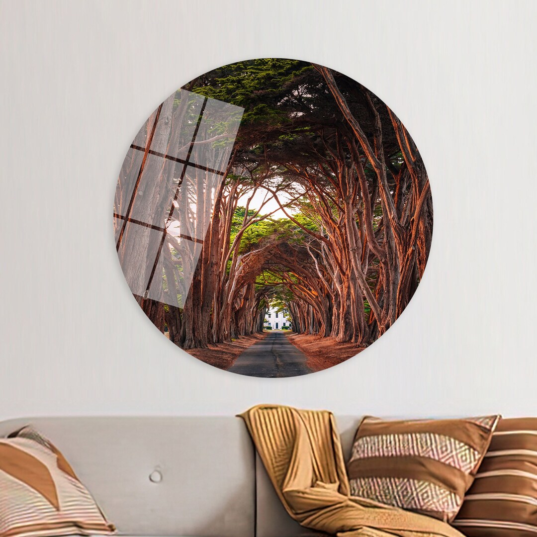 Cypress Tree Tunnel Poster, California Cypress Tree Tunnel Canvas ...