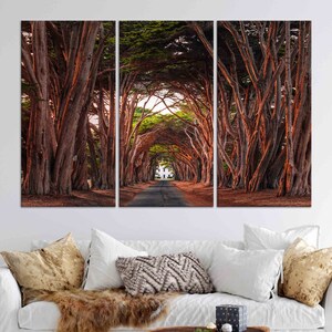 Cypress Tree Tunnel Poster, California Cypress Tree Tunnel Canvas ...