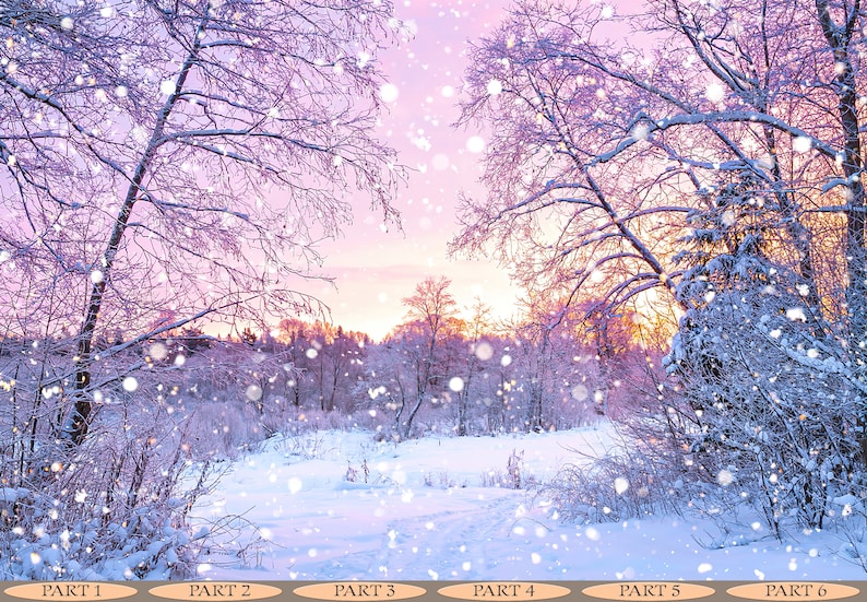 Snowy Landscape Wall Mural: 3D Winter Forest View - Etsy