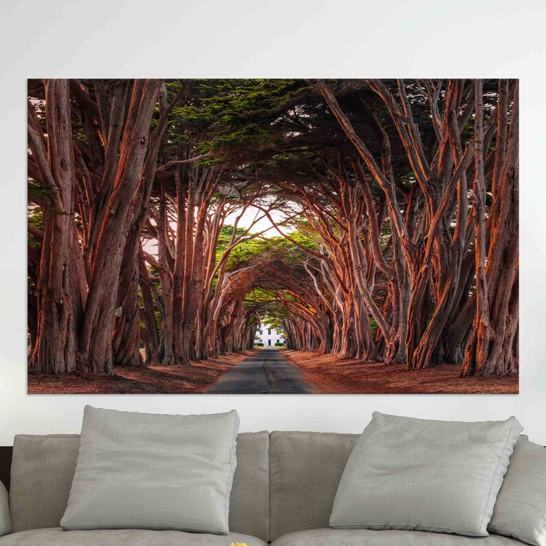 Cypress Tree Tunnel Poster California Cypress Tree Tunnel - Etsy