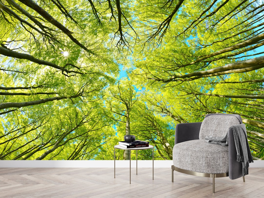 3D Forest View Wallpaper: Tree Branch Landscape Wall Art - Etsy UK
