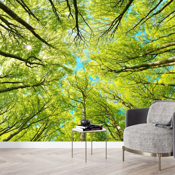 3d Forest Mural Wallpaper - Etsy