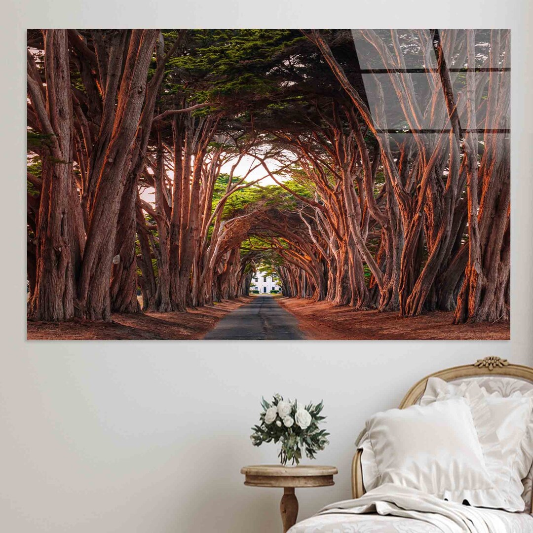 Cypress Tree Tunnel Poster, California Cypress Tree Tunnel Canvas ...