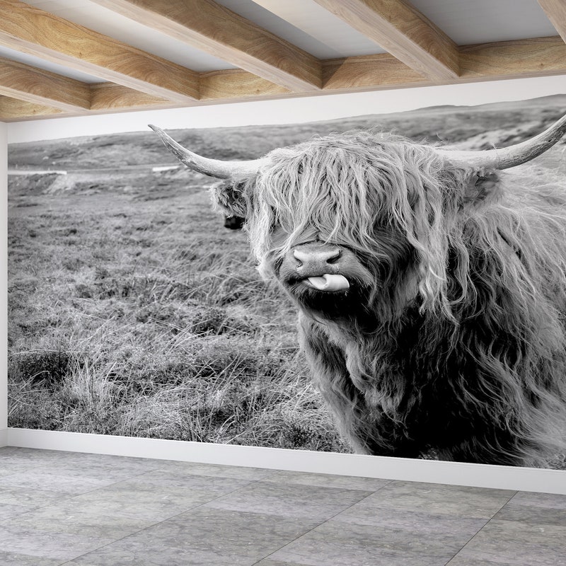 Cattle Wallpaper - Etsy