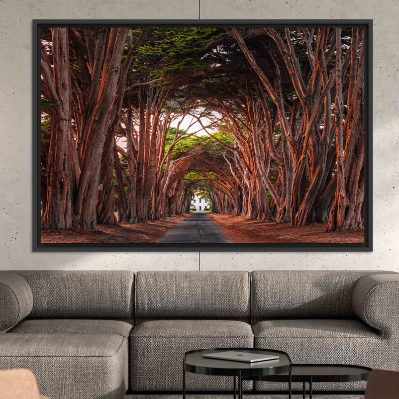 Cypress Tree Tunnel Poster California Cypress Tree Tunnel - Etsy