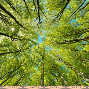 3D Forest View Wallpaper: Tree Branch Landscape Wall Art - Etsy