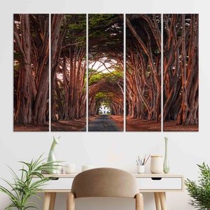 Cypress Tree Tunnel Poster, California Cypress Tree Tunnel Canvas ...