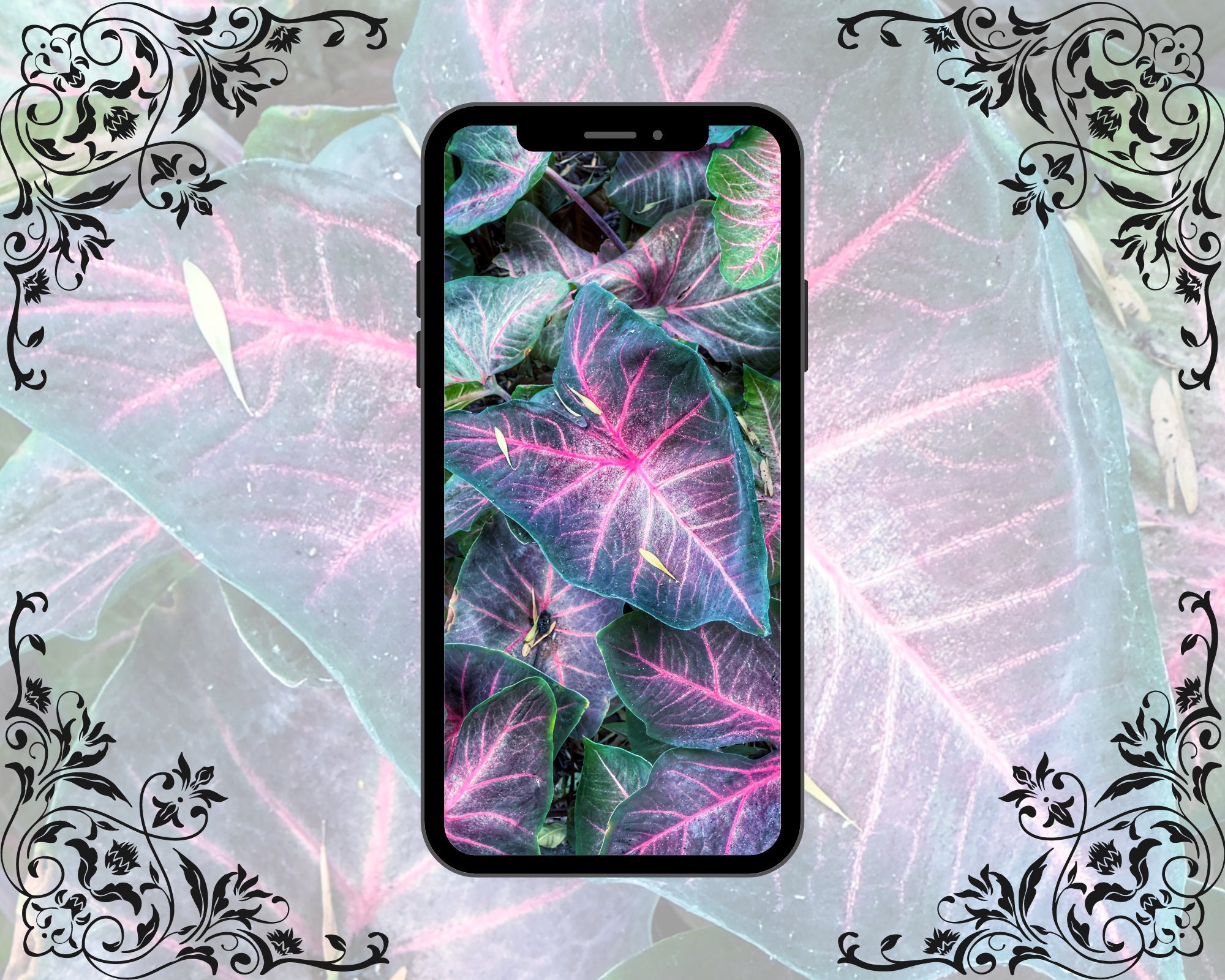 Plant Phone Wallpaper | iPhone Wallpaper | Smartphone Wallpaper ...
