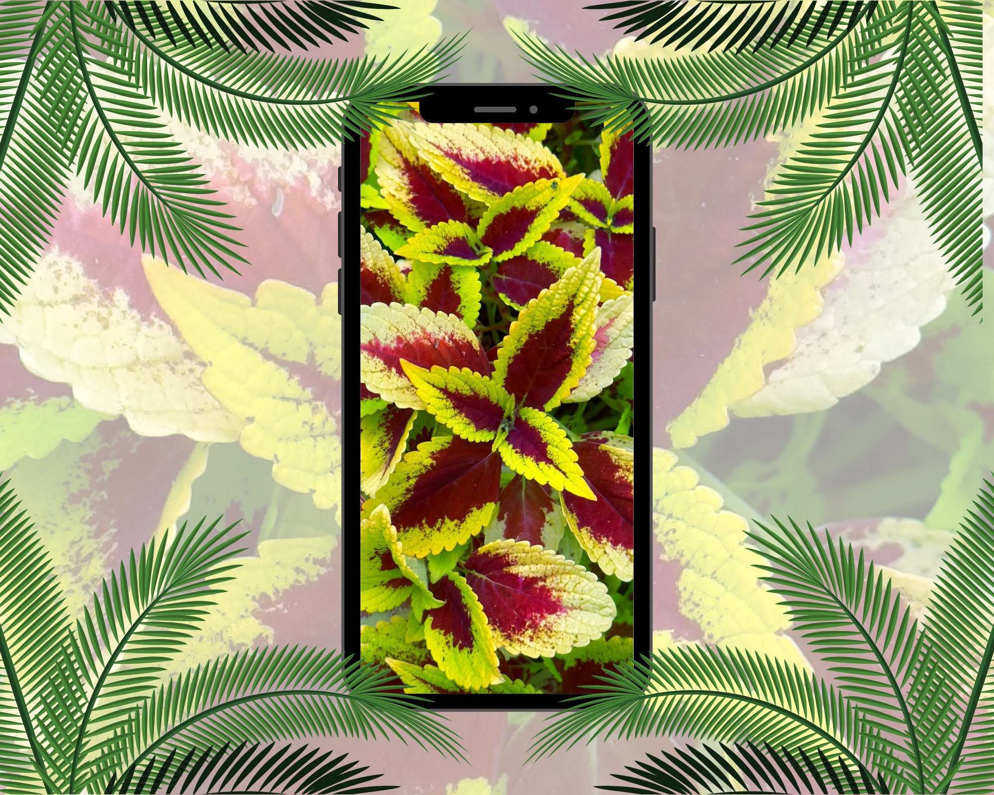 Plant Phone Wallpaper | iPhone Wallpaper | Smartphone Wallpaper ...