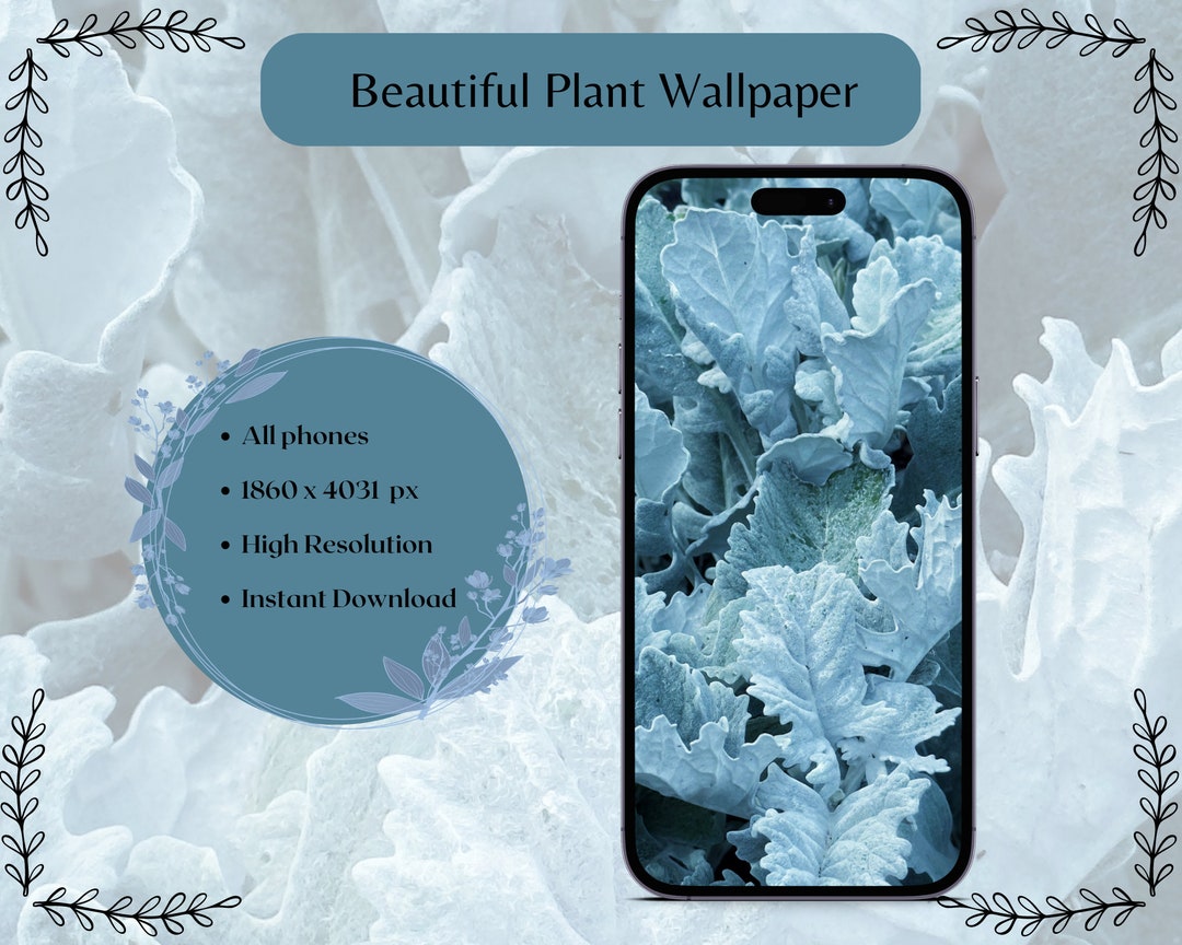 Plant Phone Wallpaper | iPhone Wallpaper | Smartphone Wallpaper ...