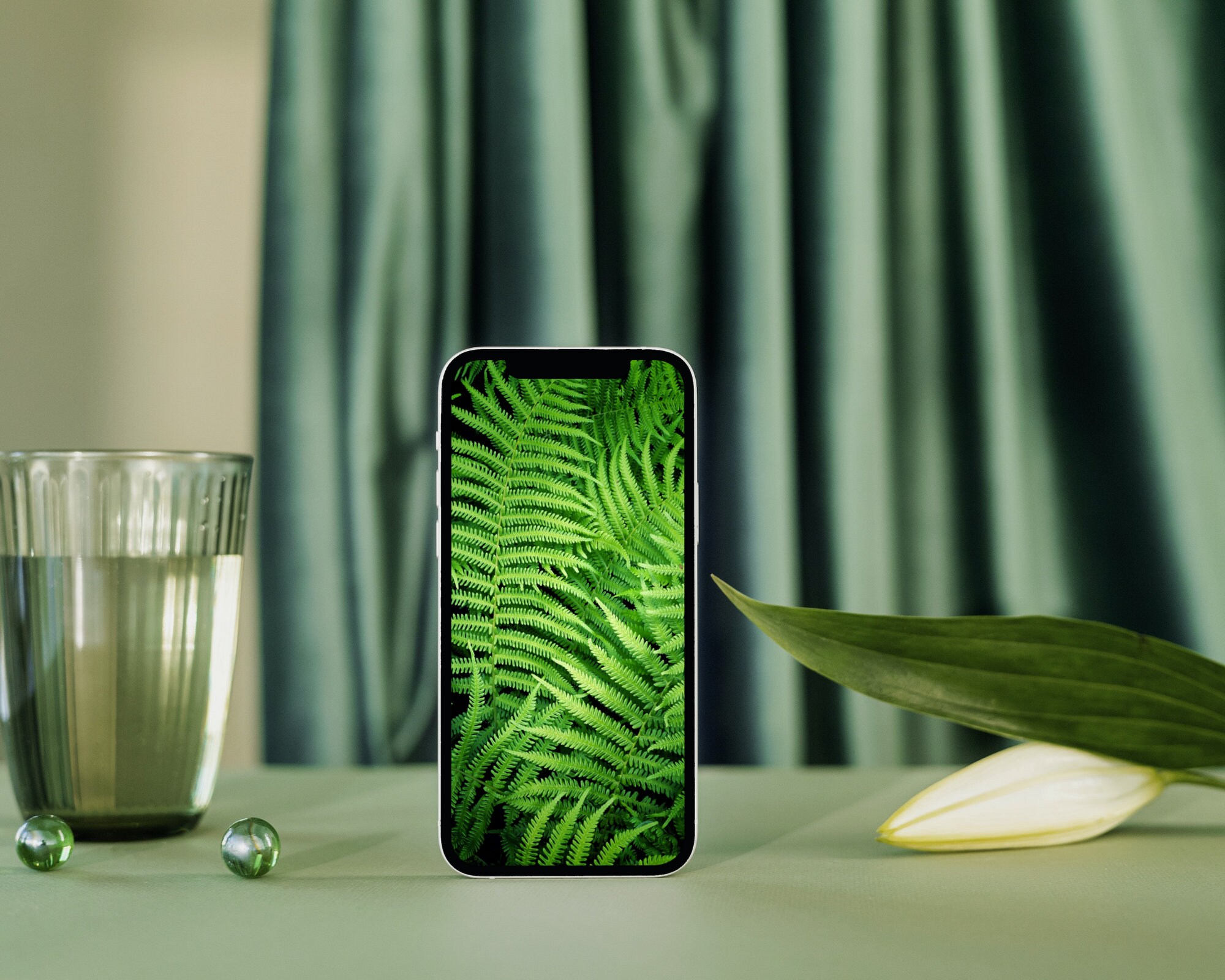 Green Leaves Phone Wallpapers 5 Bundle Pack, Nature iPhone Background ...