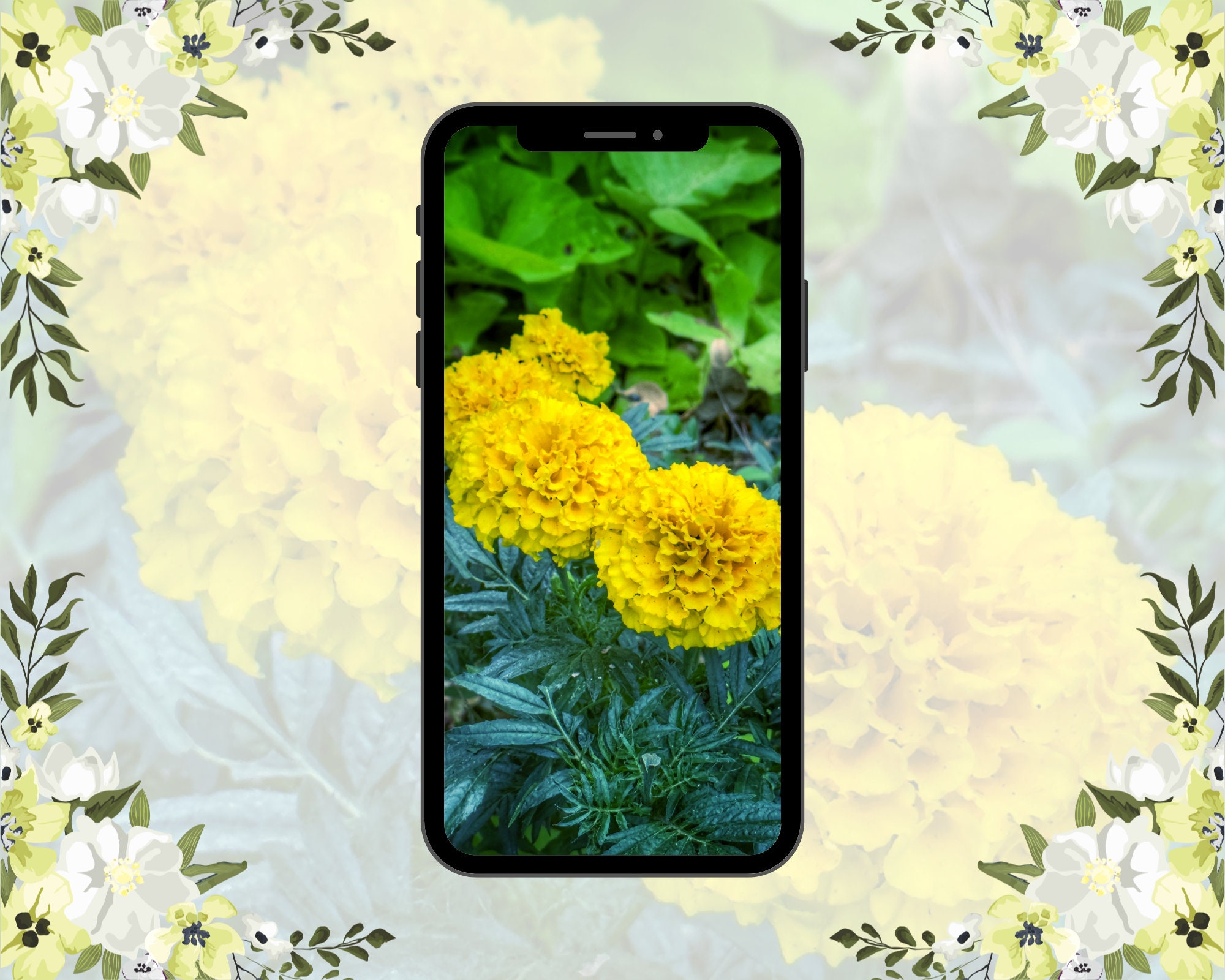 Yellow Flower Phone Wallpaper | iPhone Wallpaper | Smartphone Wallpaper ...