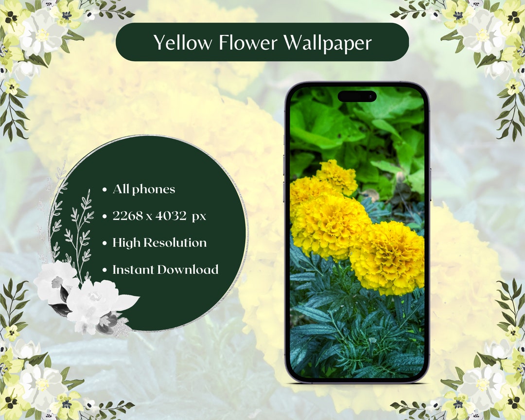 Yellow Flower Phone Wallpaper | iPhone Wallpaper | Smartphone Wallpaper ...
