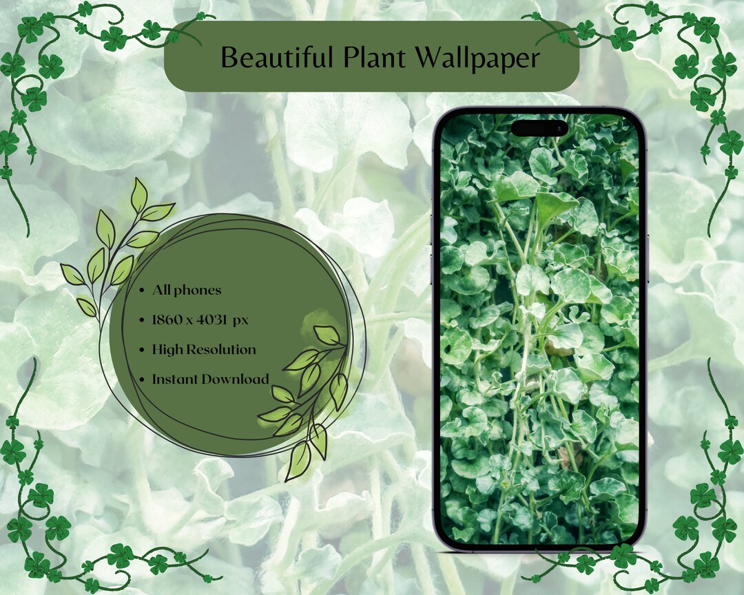 Plant Phone Wallpaper | iPhone Wallpaper | Smartphone Wallpaper ...