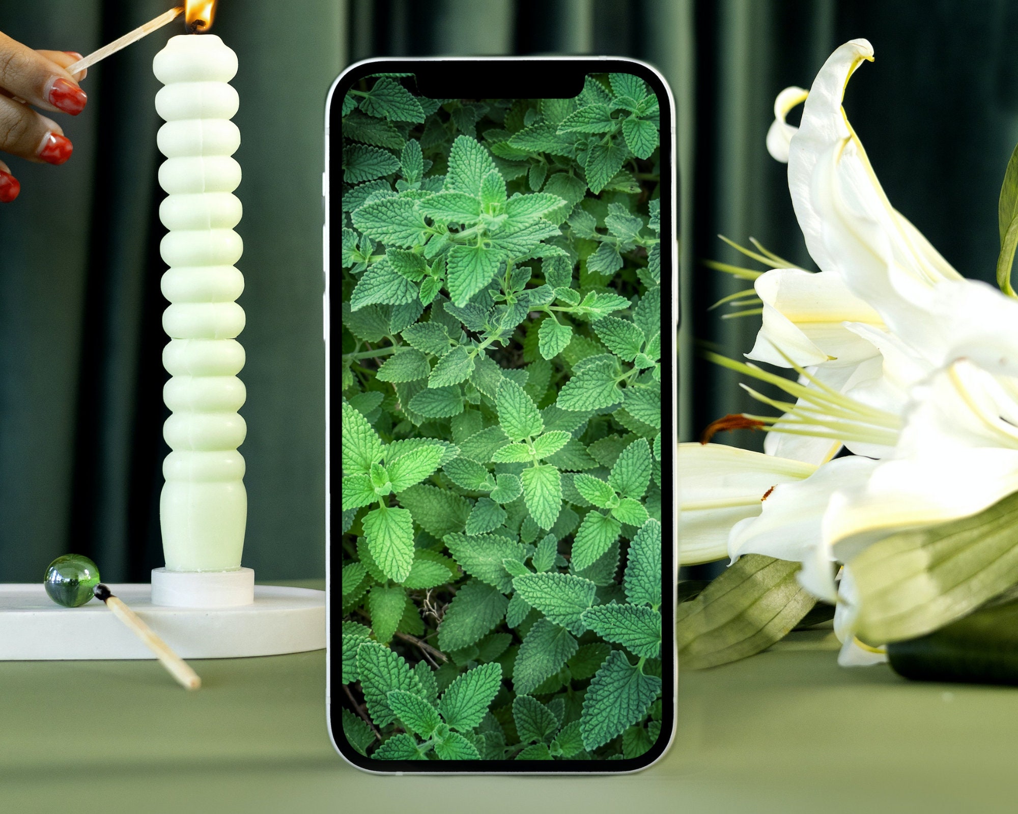 Green Leaves Phone Wallpapers 5 Bundle Pack, Nature iPhone Background ...