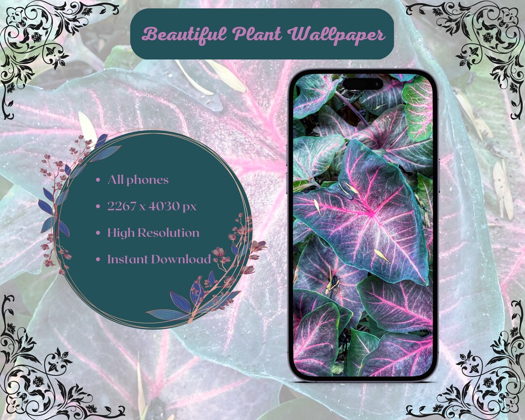 Plant Phone Wallpaper | iPhone Wallpaper | Smartphone Wallpaper ...