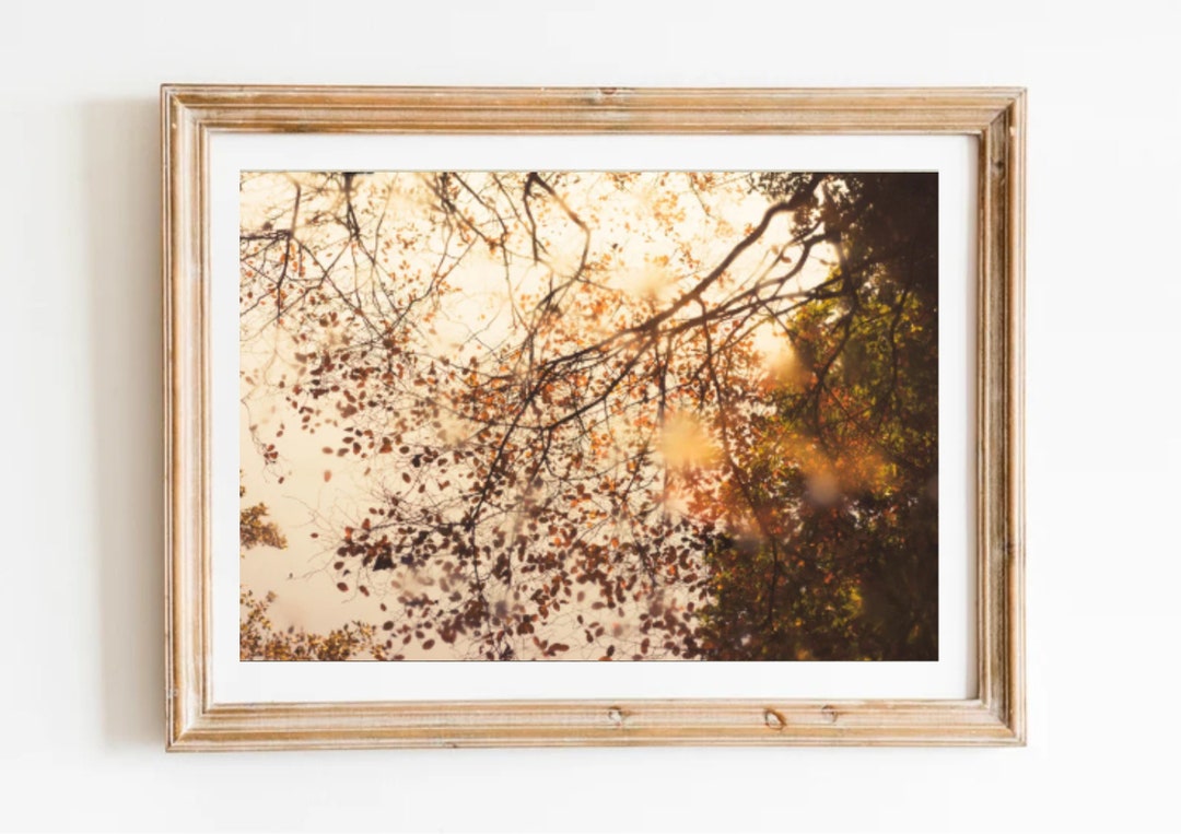 Fall Tree Wall Art Autumn Landscape Print Fall Art Prints - Etsy