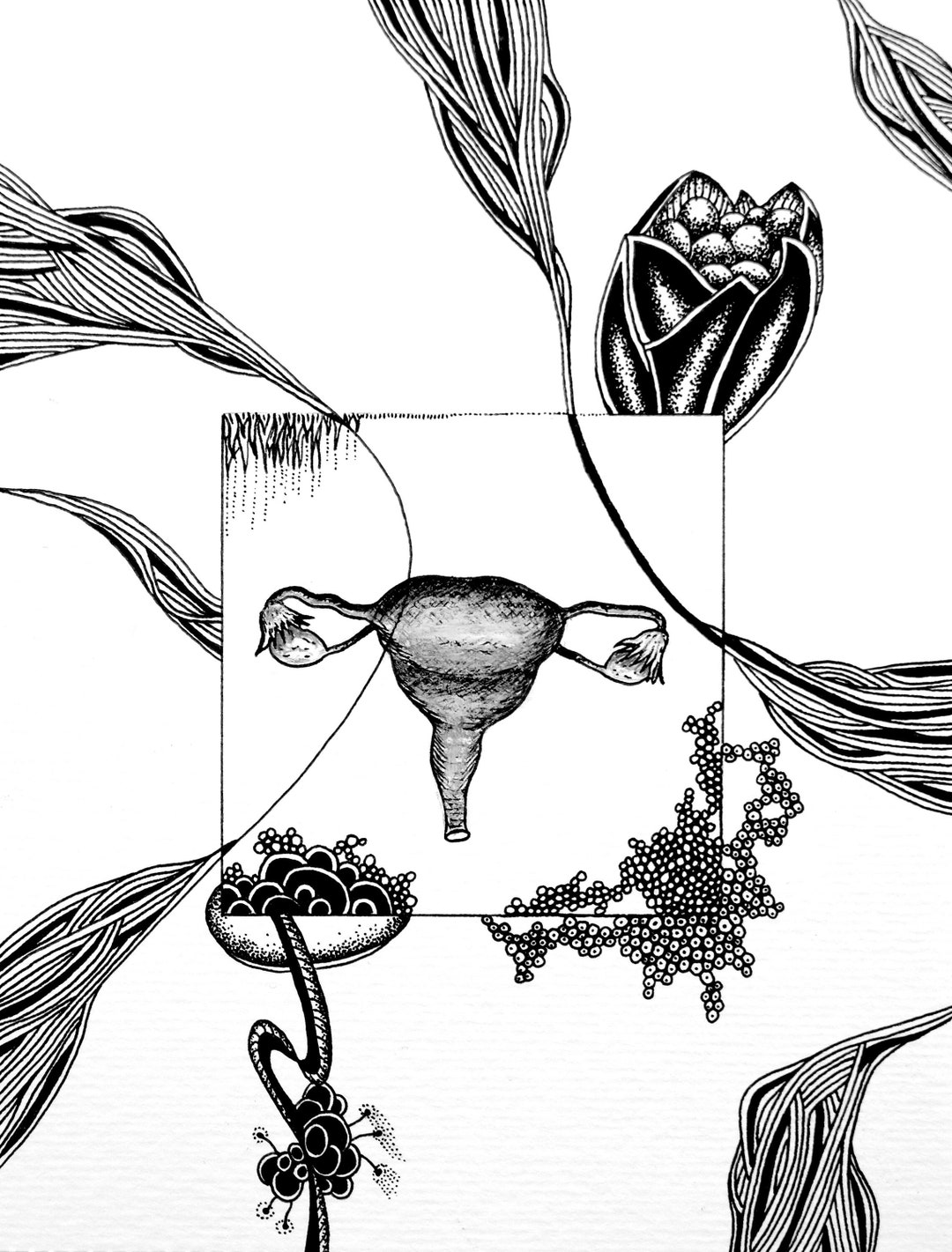 Anatomía del útero anatomía humana flores dibujo a tinta tinta de ...
