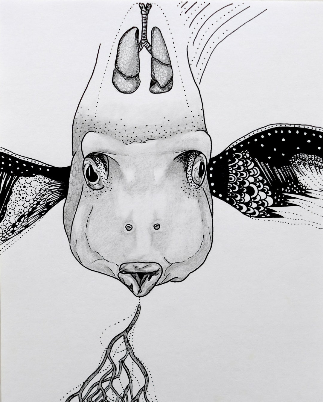 Fish Ink Drawing Drawing Fish Ink Tropical Animal Symbolism Details Art ...