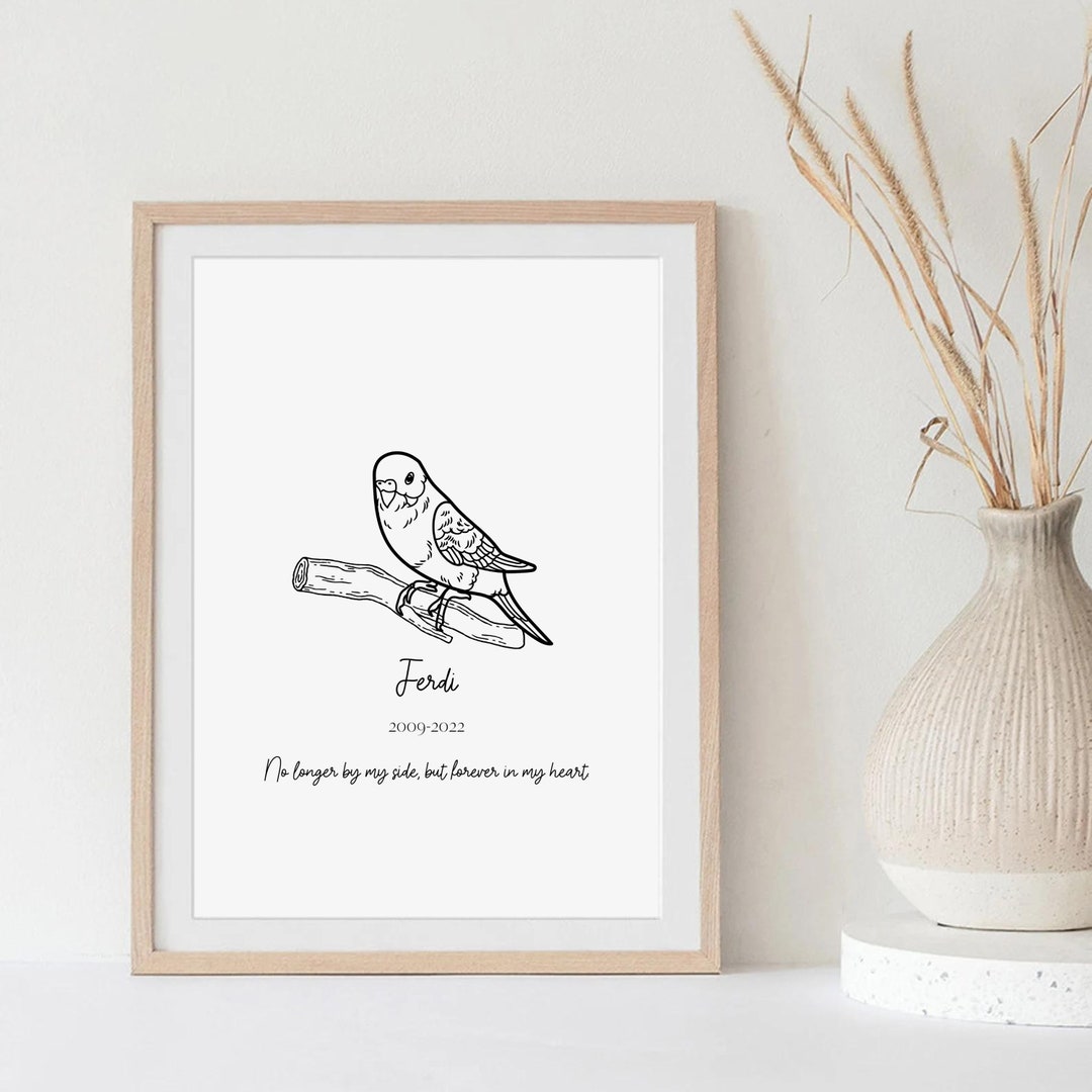 Parakeet Loss Poster Parakeet Memorial - Etsy