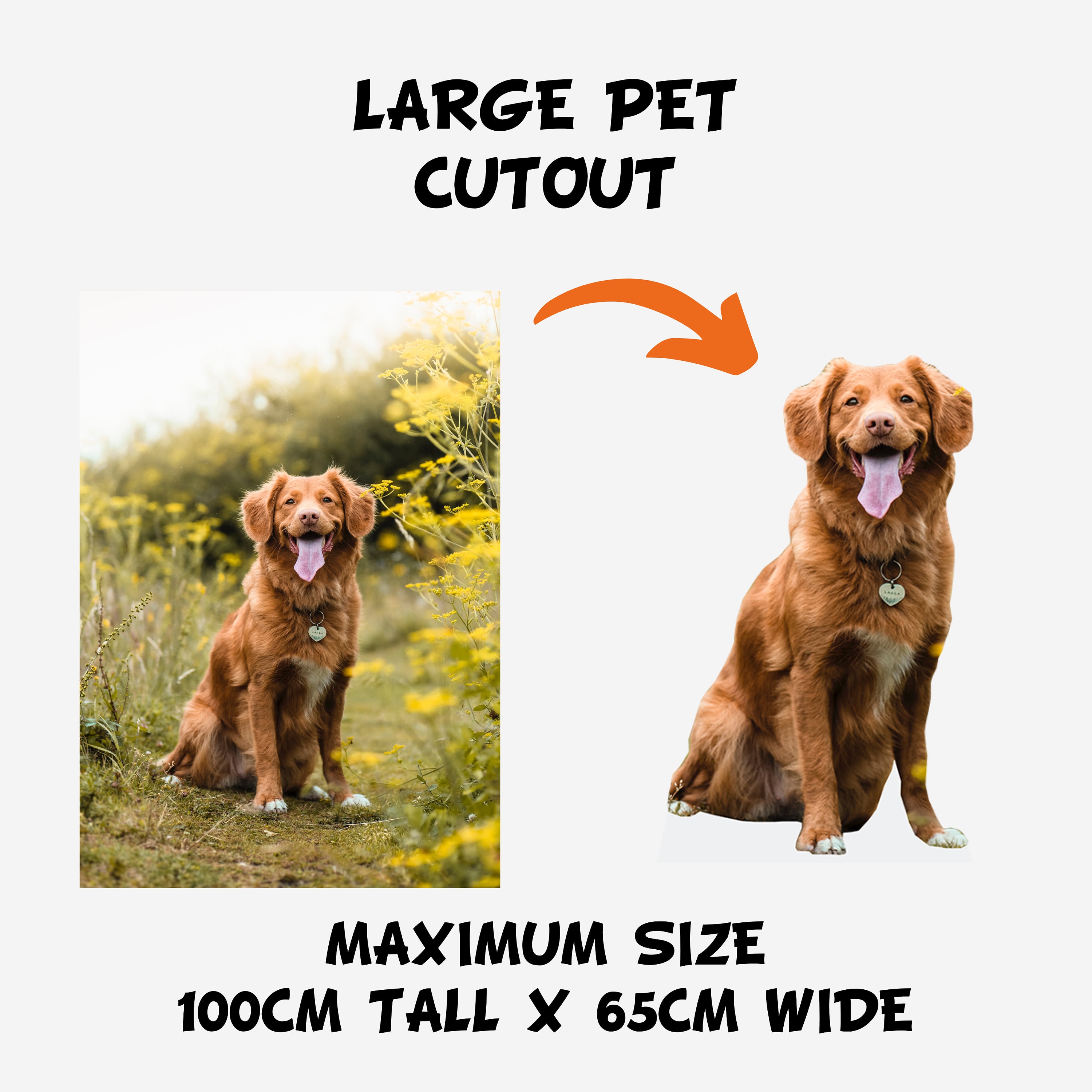 Personalised Cardboard Pet Cutouts, Faces, Pets, Big Cutouts, - Etsy