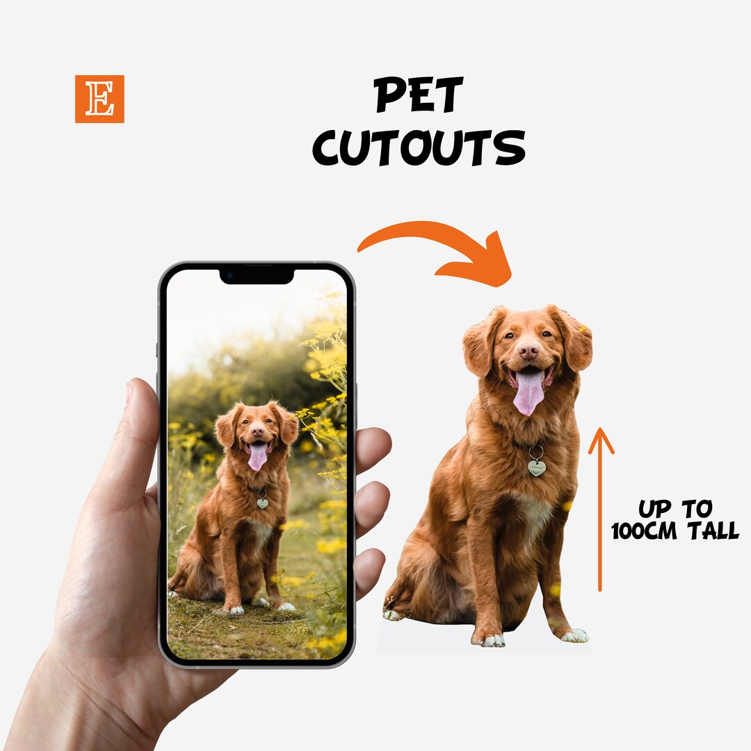 Personalised Cardboard Pet Cutouts, Faces, Pets, Big Cutouts, - Etsy