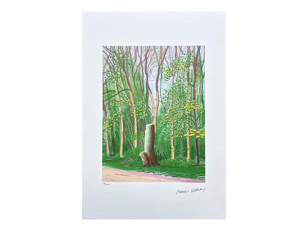 DAVID HOCKNEY - the Arrival of Spring in Woldgate No. 13 - Signed ...
