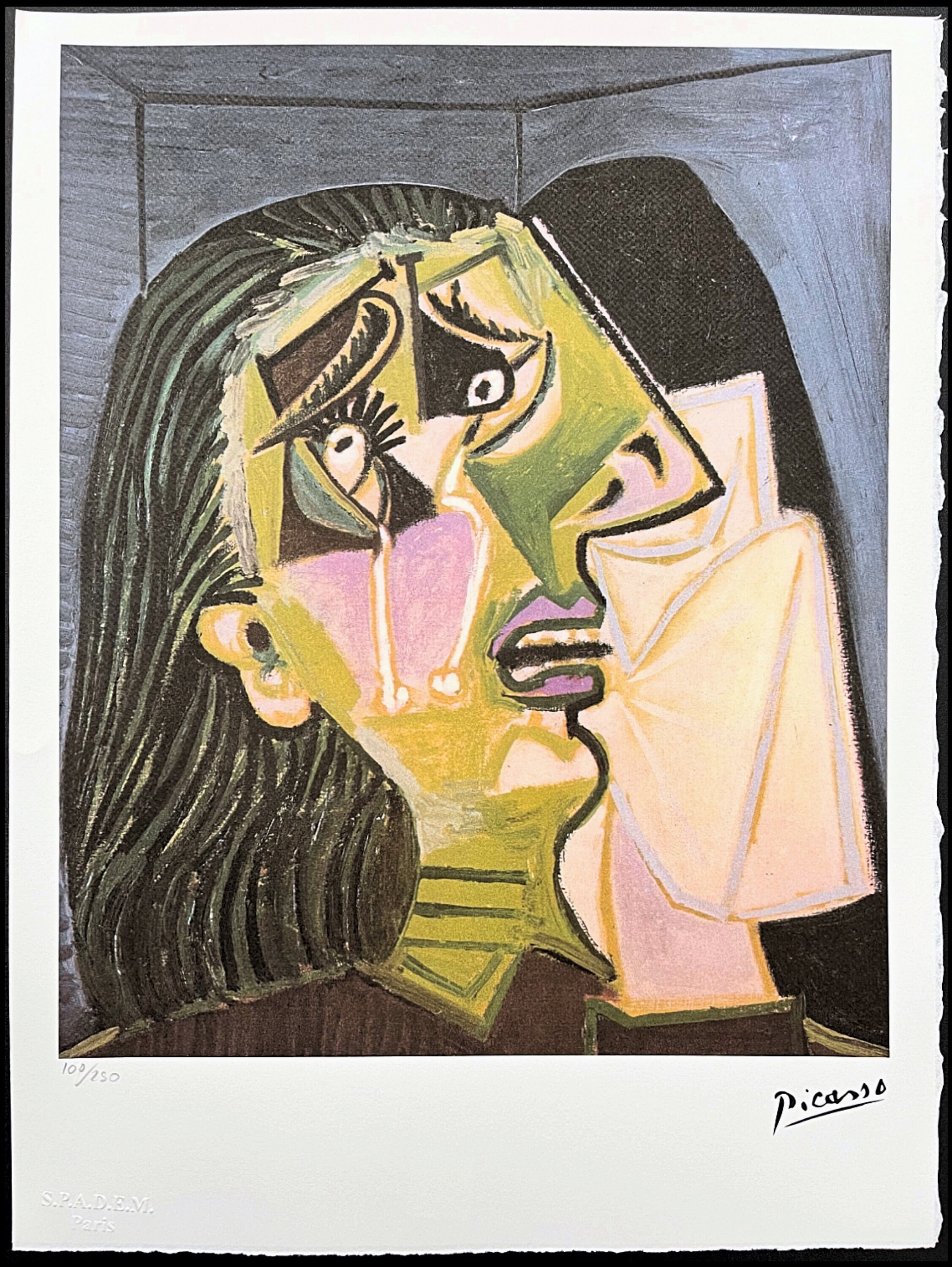 PABLO PICASSO Signed, Limited Edition 100/250, 28.5 X 38 Cm ...