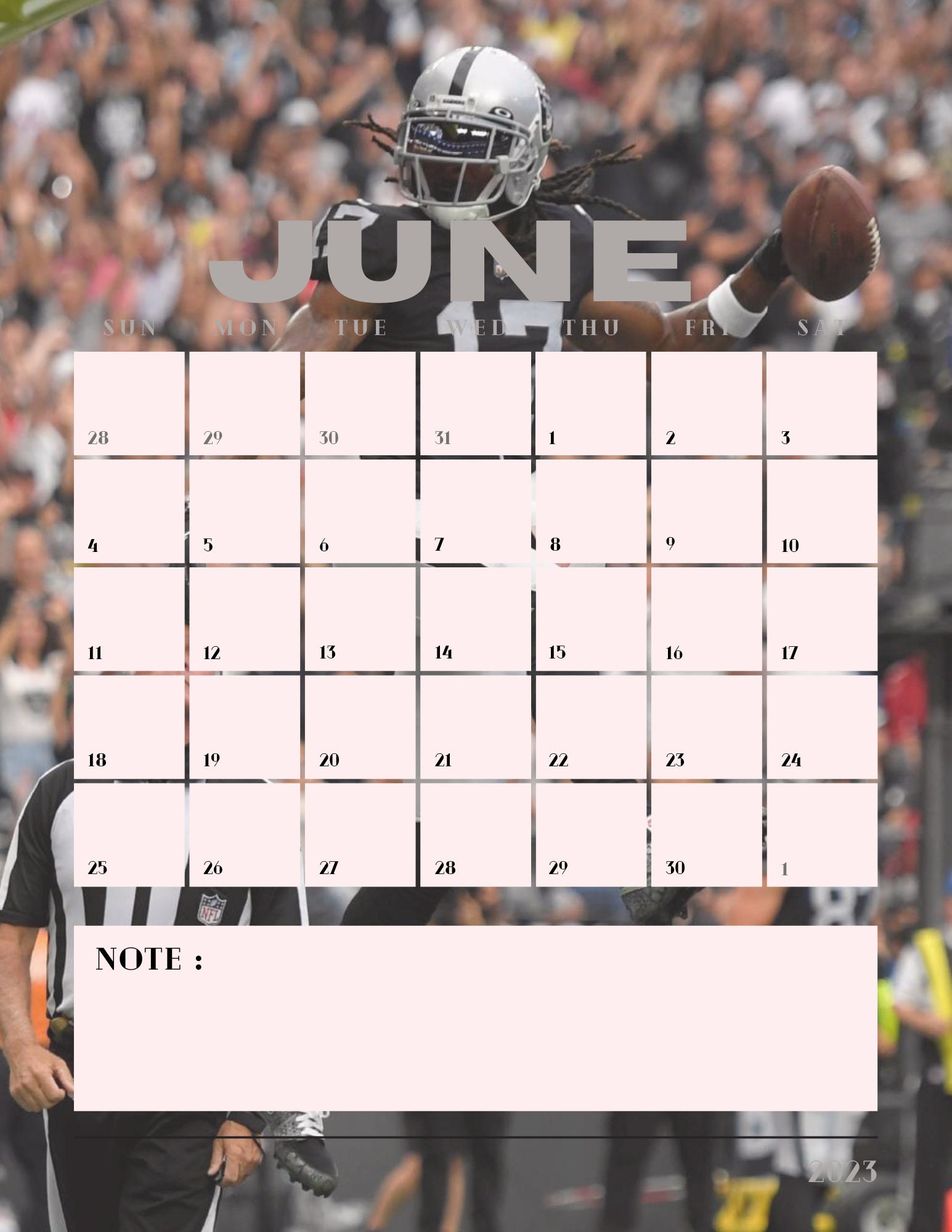 NFL Themed 2023 Calendar - Etsy