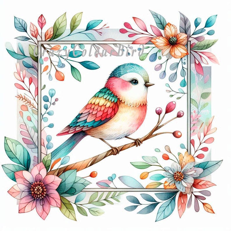 Whimsical Bird Clip Art, Colorful Pretty Graphics, Digital Download. - Etsy